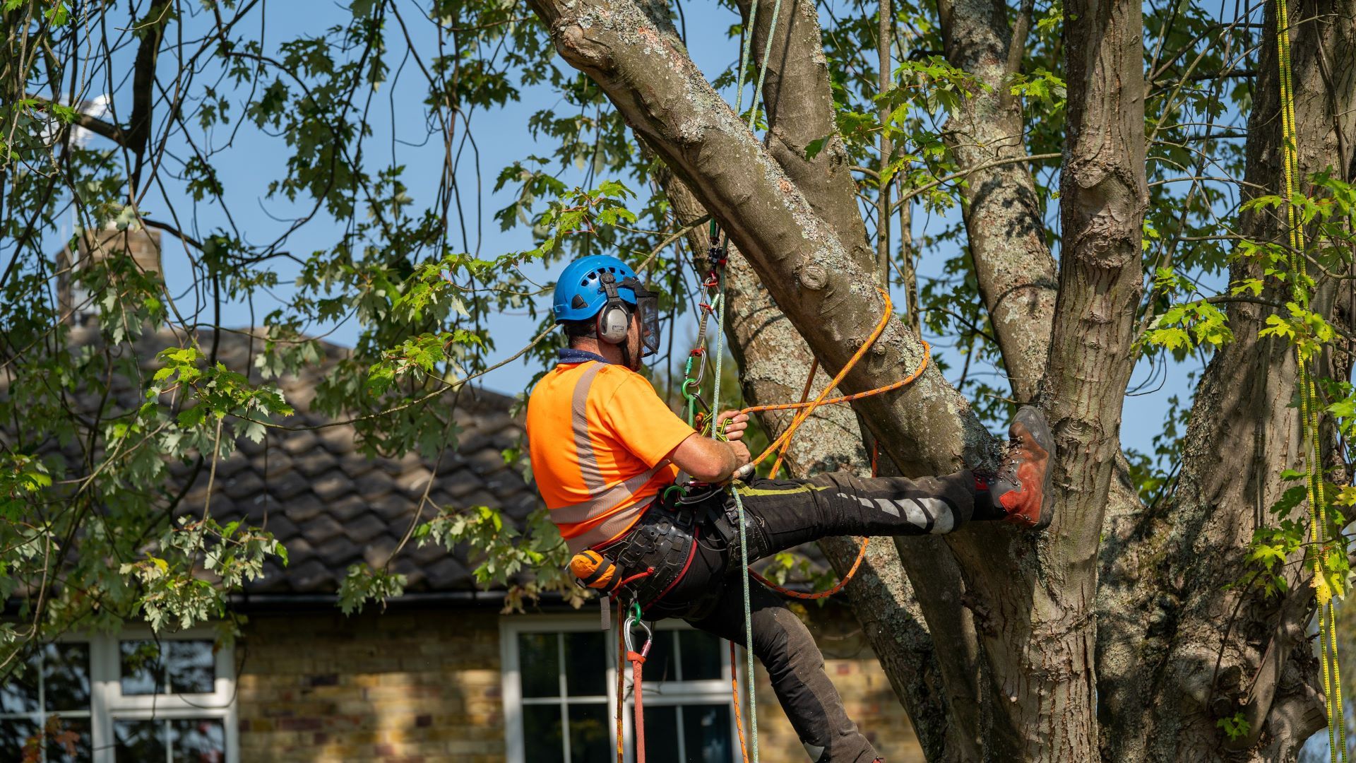 Careers | Maydencroft Limited