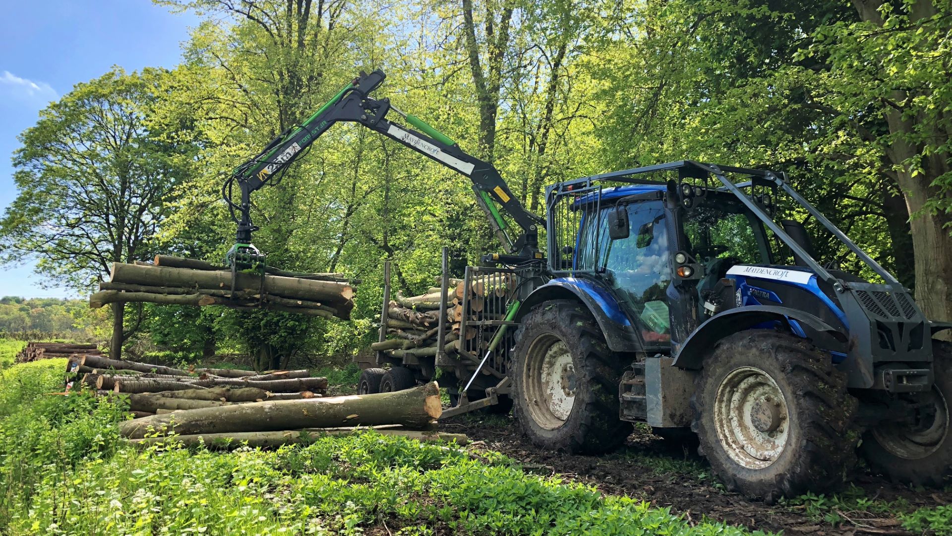 Maydencroft | Woodland management