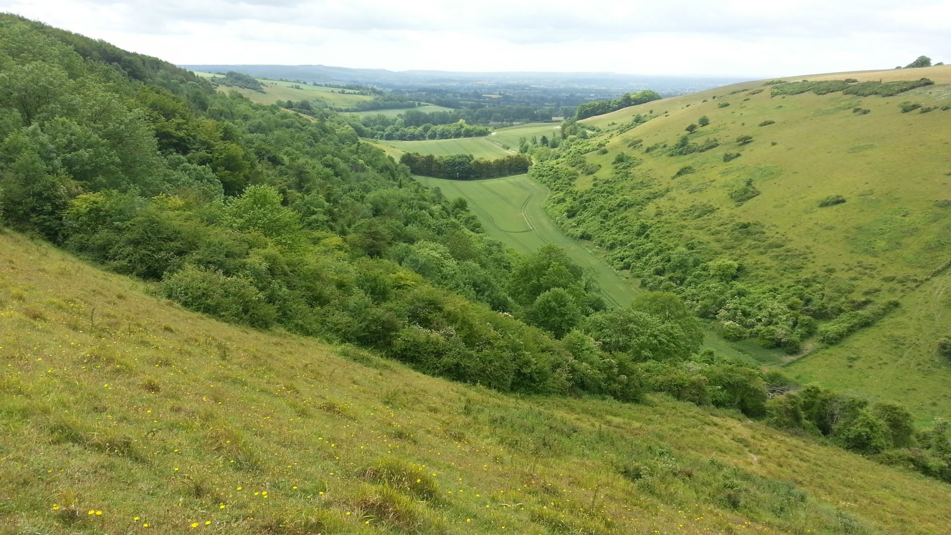 Maydencroft | Landscape and visual impact assessment