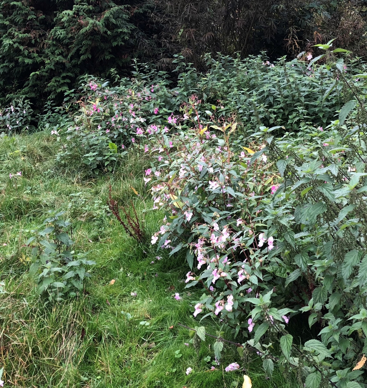 Case Studies | Maydencroft Limited