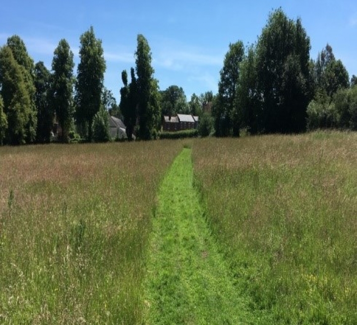 Case Studies | Maydencroft Limited