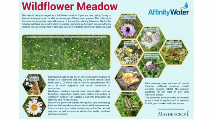 Design and production of wildflower information boards | Utility sector