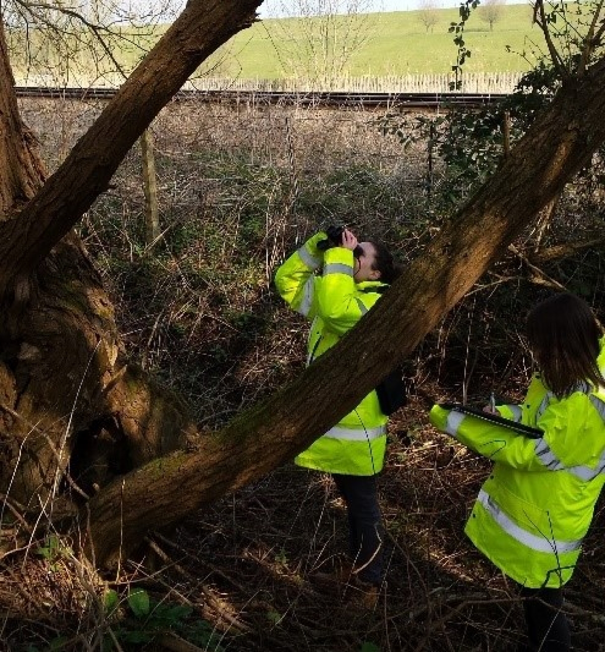 Case Studies | Maydencroft Limited