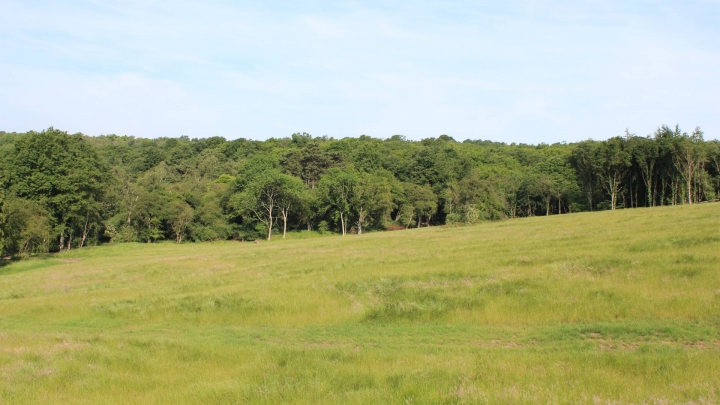 Case Studies | Maydencroft Limited