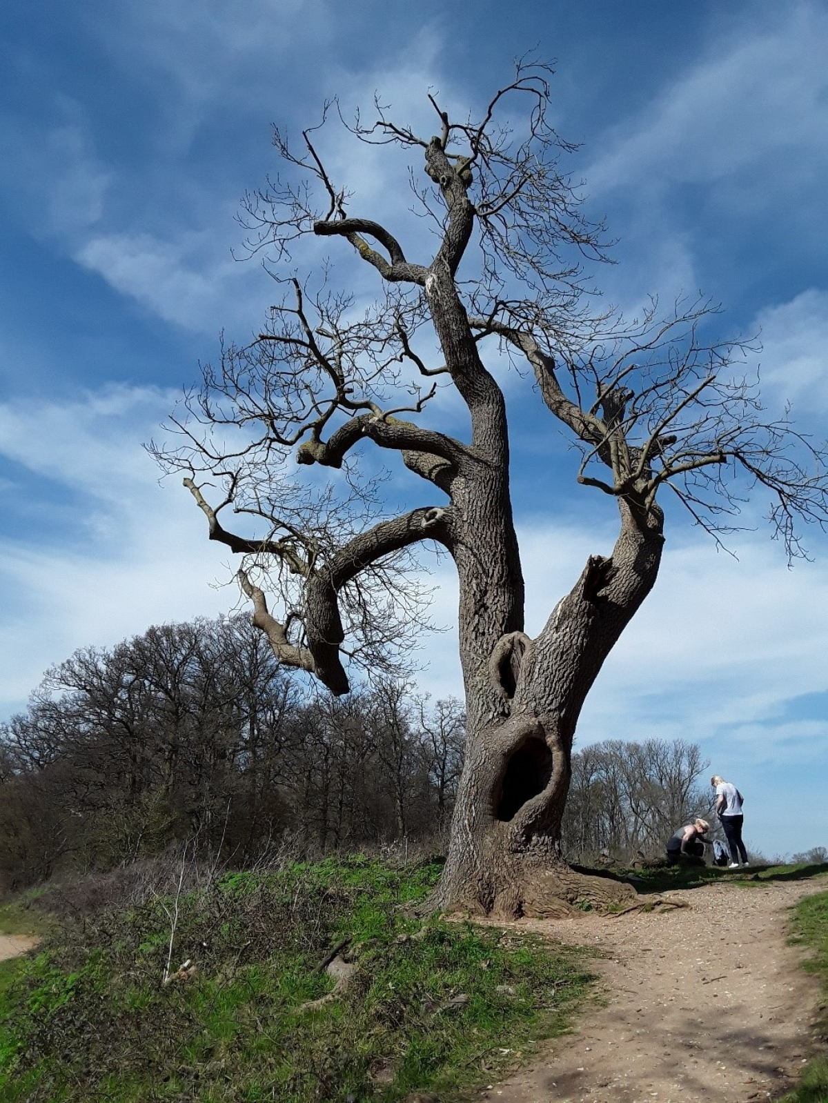 Case Studies | Maydencroft Limited