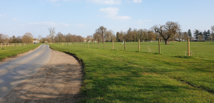 Tree safety inspection | Private sector