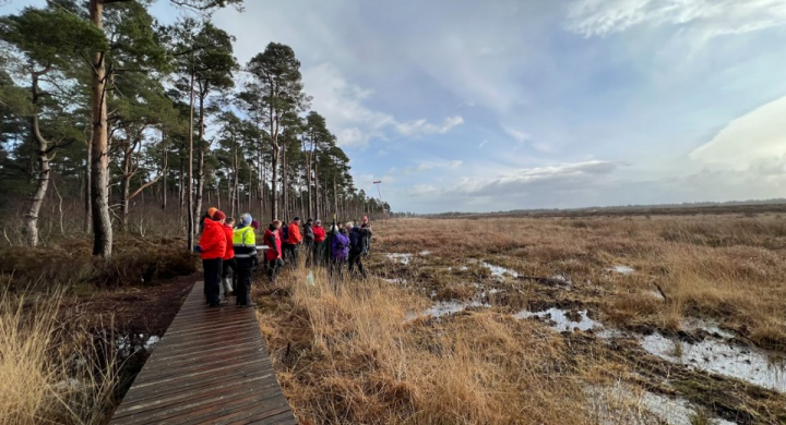 Case Studies | Maydencroft Limited