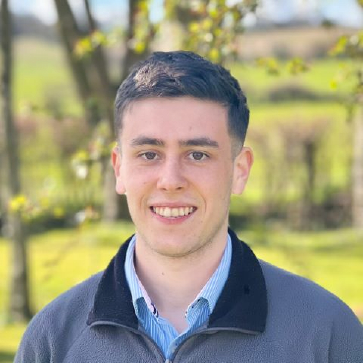 Adam Neale | Consultancy