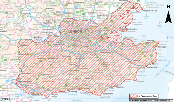 Ips typographus | News