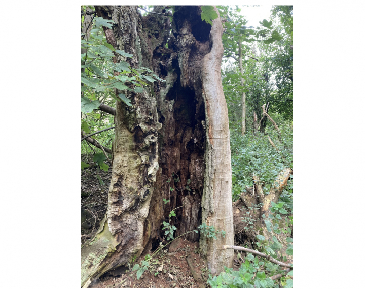 Case Studies | Maydencroft Limited