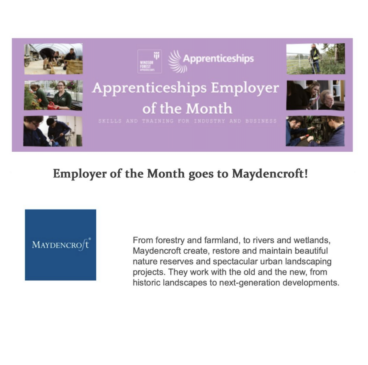 Apprenticeships Employer of the Month | News