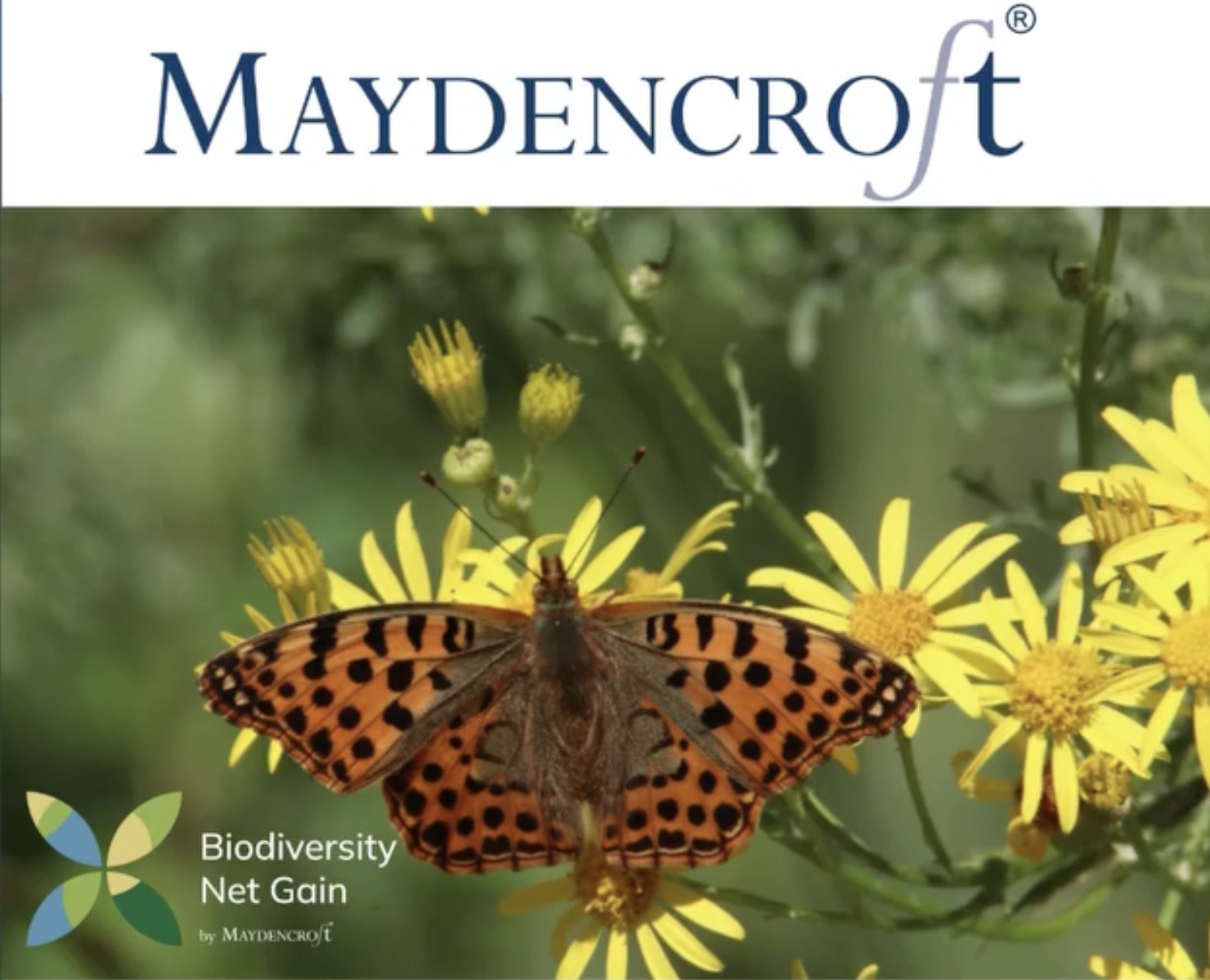 Navigating BNG habitat banks | News