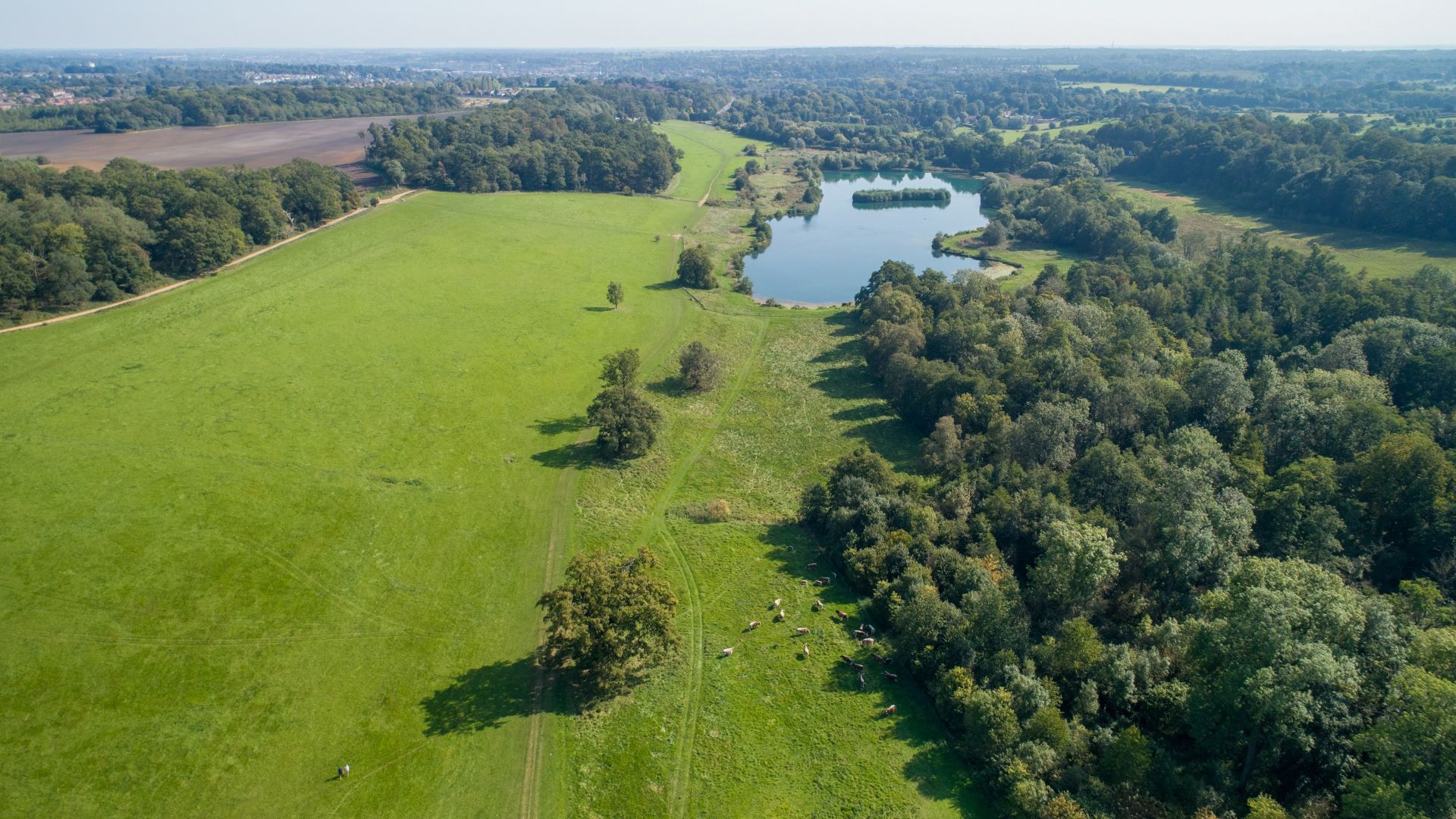 Maydencroft | Boardwalks and Bridges
