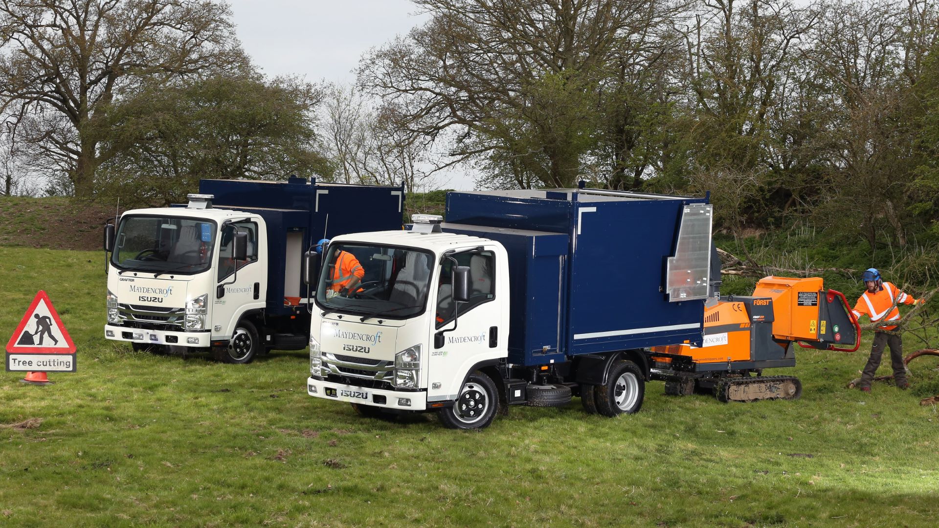 Maydencroft | CAVAT tree valuation